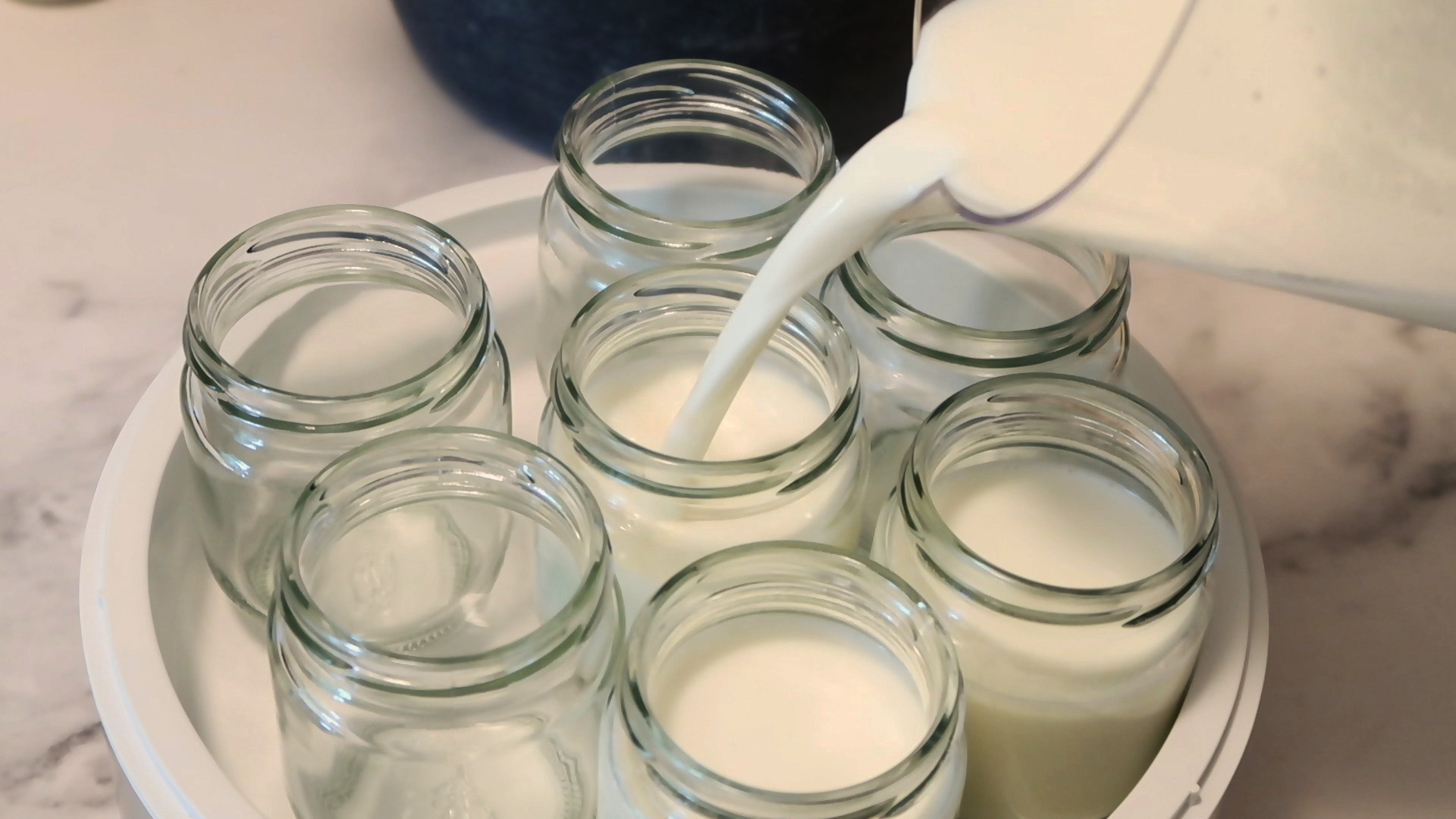 Easy Homemade Yogurt Recipe with Live Cultures | Stay Positive