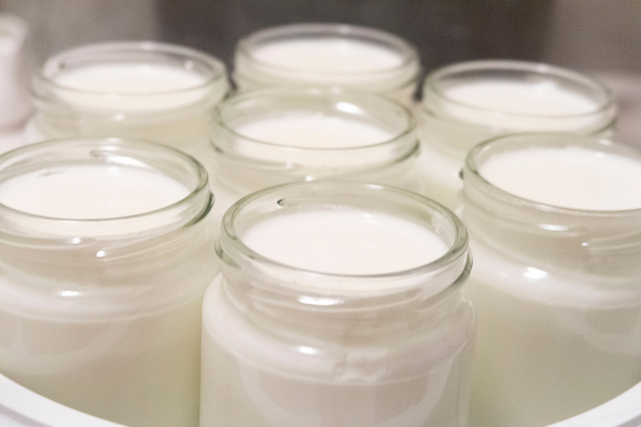 Easy Homemade Yogurt Recipe with Live Cultures | Stay Positive